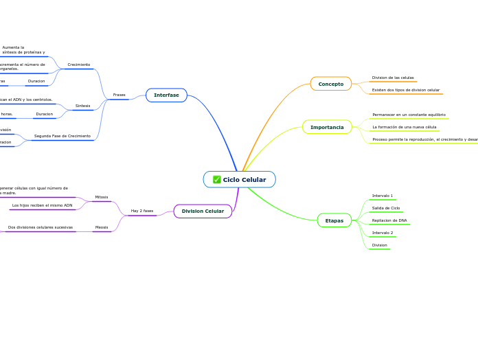 Ciclo Celular - Mind Map